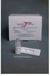 Rapid Test Kit Syphilis Health Check™ Immunochromatographic Assay ...